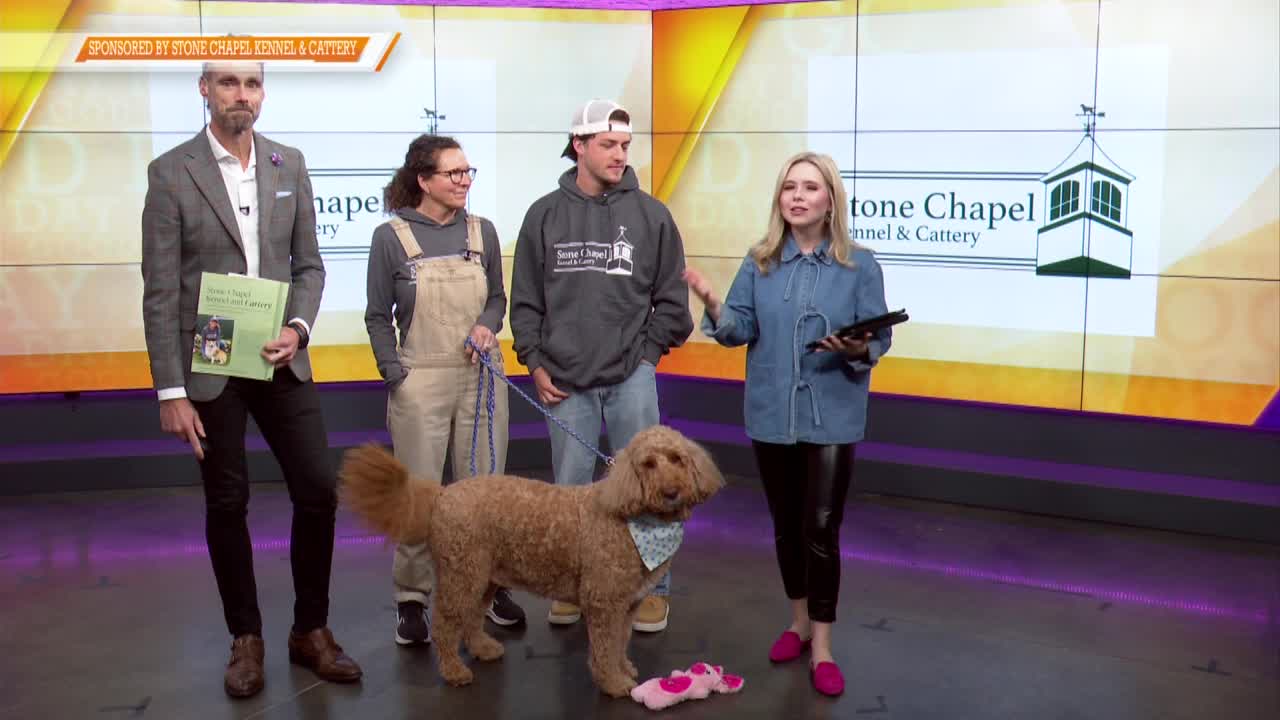 Inside Stone Chapel Kennel & Cattery