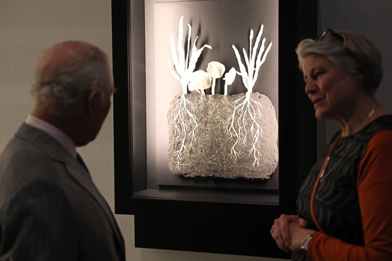 King’s ‘incredible sense of curiosity’ praised during visit to soil ...