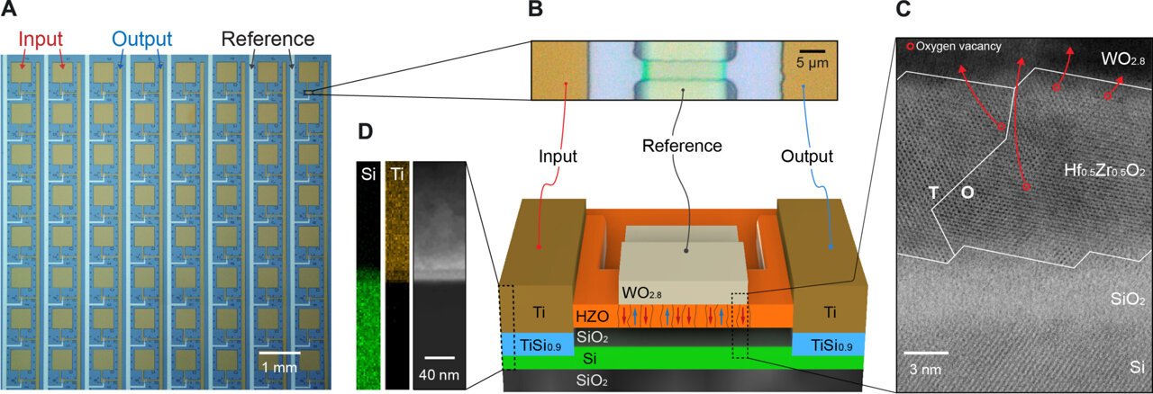 'Super-Turing AI' uses less energy by mimicking the human brain
