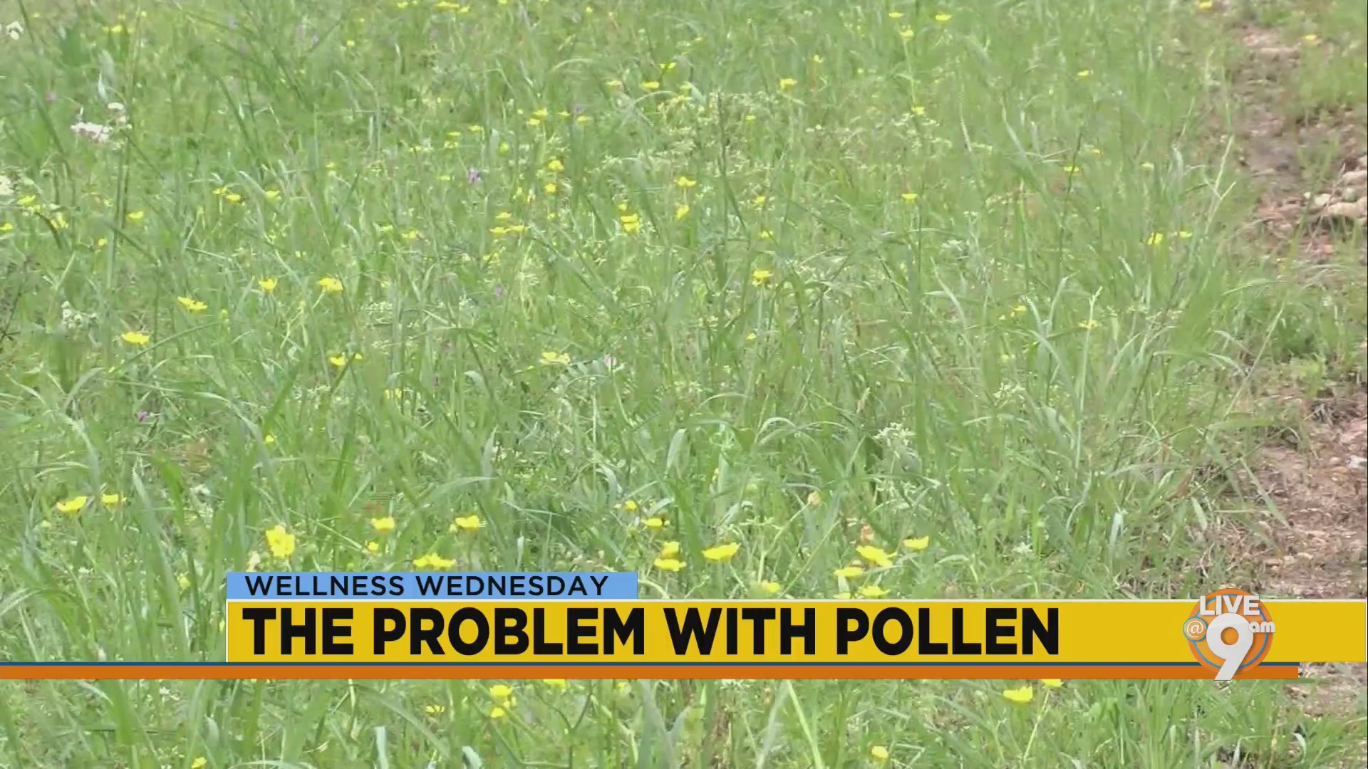 Wellness Wednesday: The Problem with Pollen