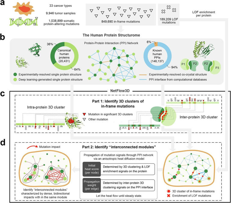 New framework leverages 3D protein structures for systems-level ...
