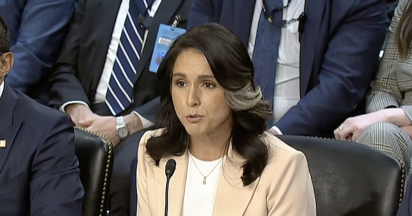 "I’ve Shared No Classified Info" — Tulsi Gabbard Defends Role in Signal ...