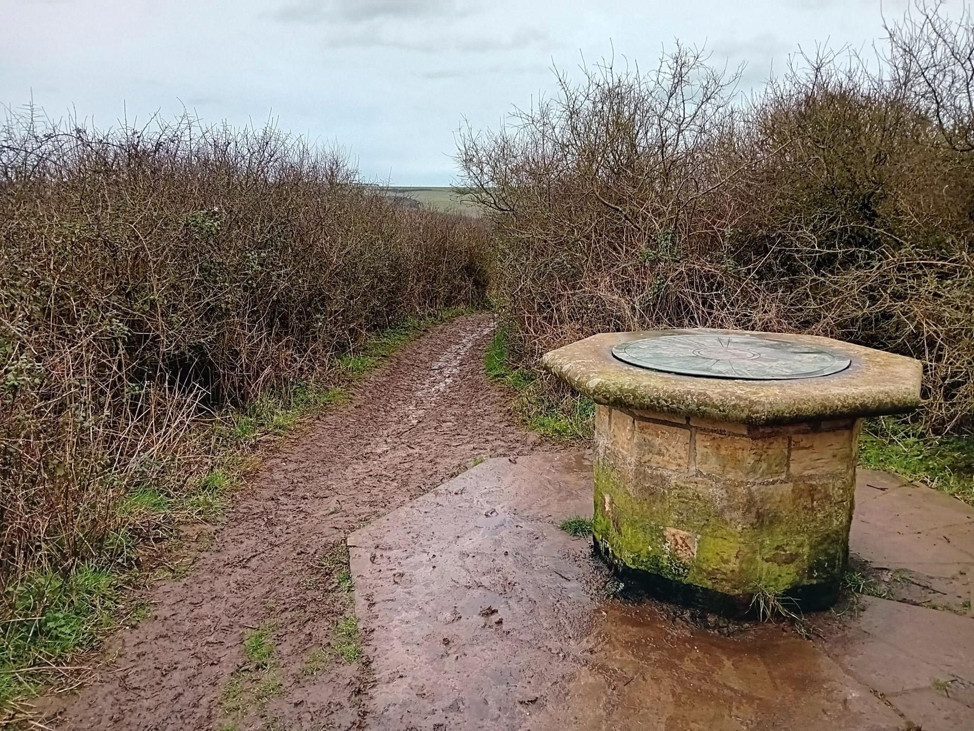 High and Over viewpoint cleared of vegetation