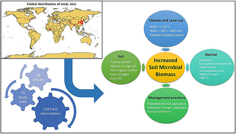 Biochar and microbe synergy: A path to climate-smart farming