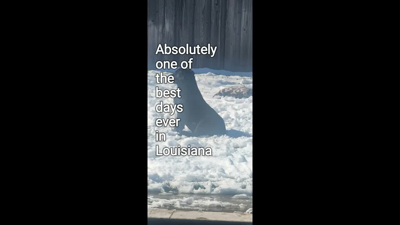 Louisiana Snow Day: Family Fun in the Unlikely Winter Wonderland
