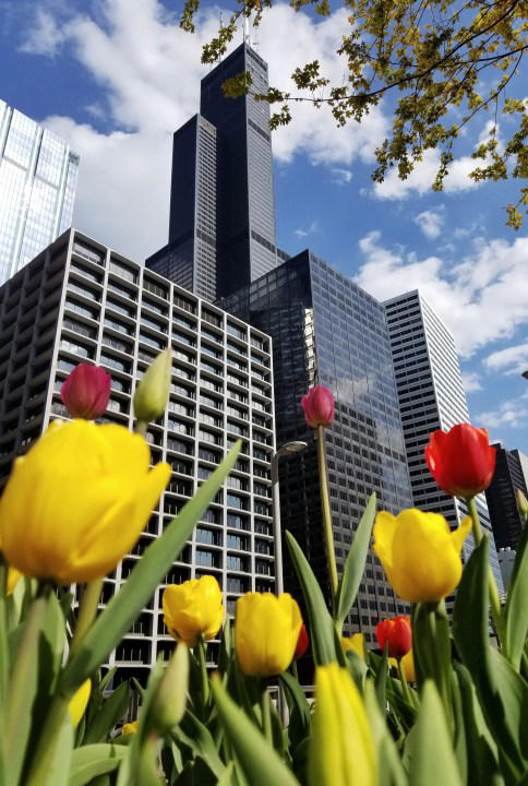 Thursday forecast: Chilly start, then wide temp range later and mainly ...