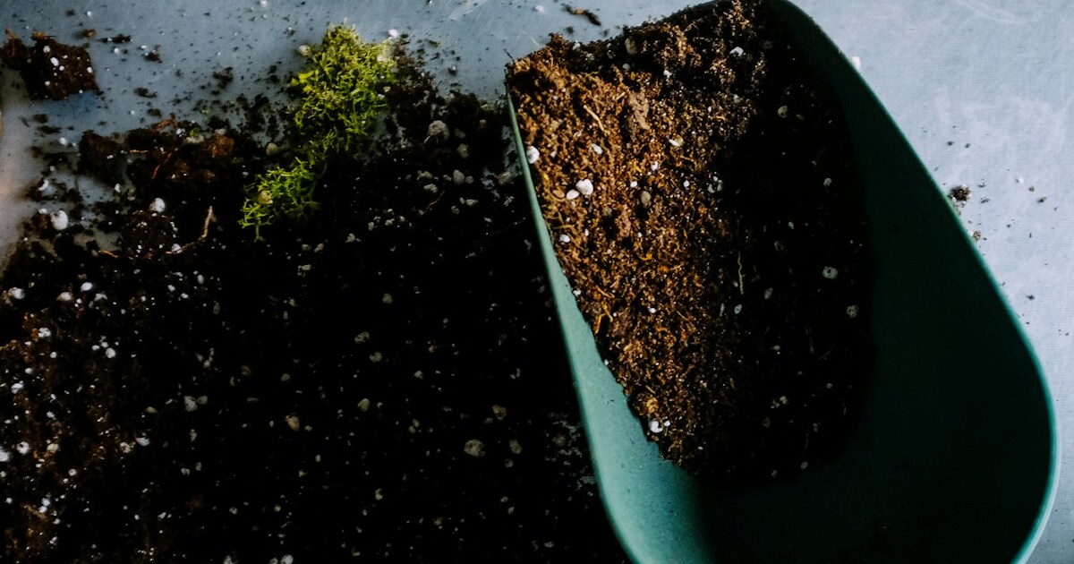 11 Reasons Why You Shouldn't Always Trust Store-Bought Compost