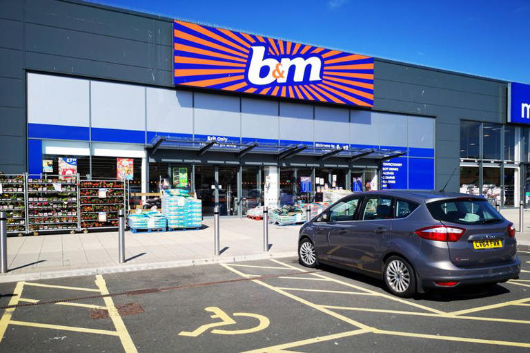 B&M's 'perfect' £15 colourful solar lights are a 'cute little addition ...