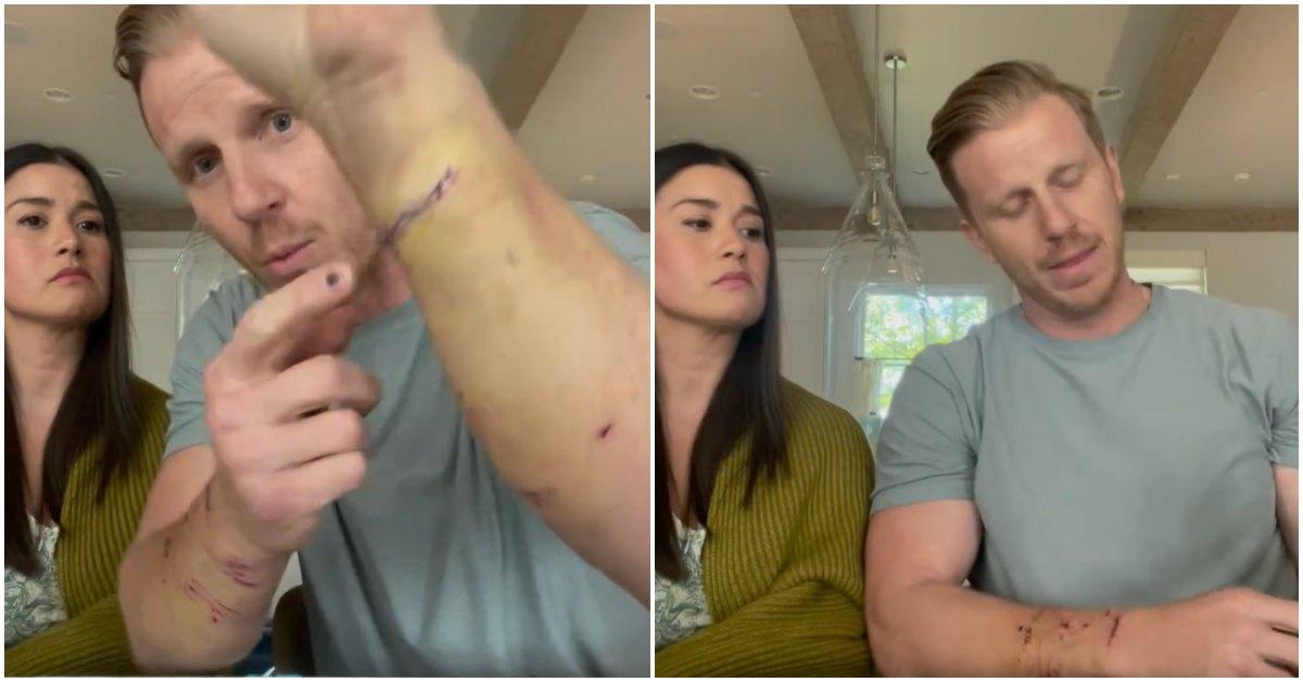 Former 'Bachelor' Star Sean Lowe Was Attacked Twice by His Adopted Boxer
