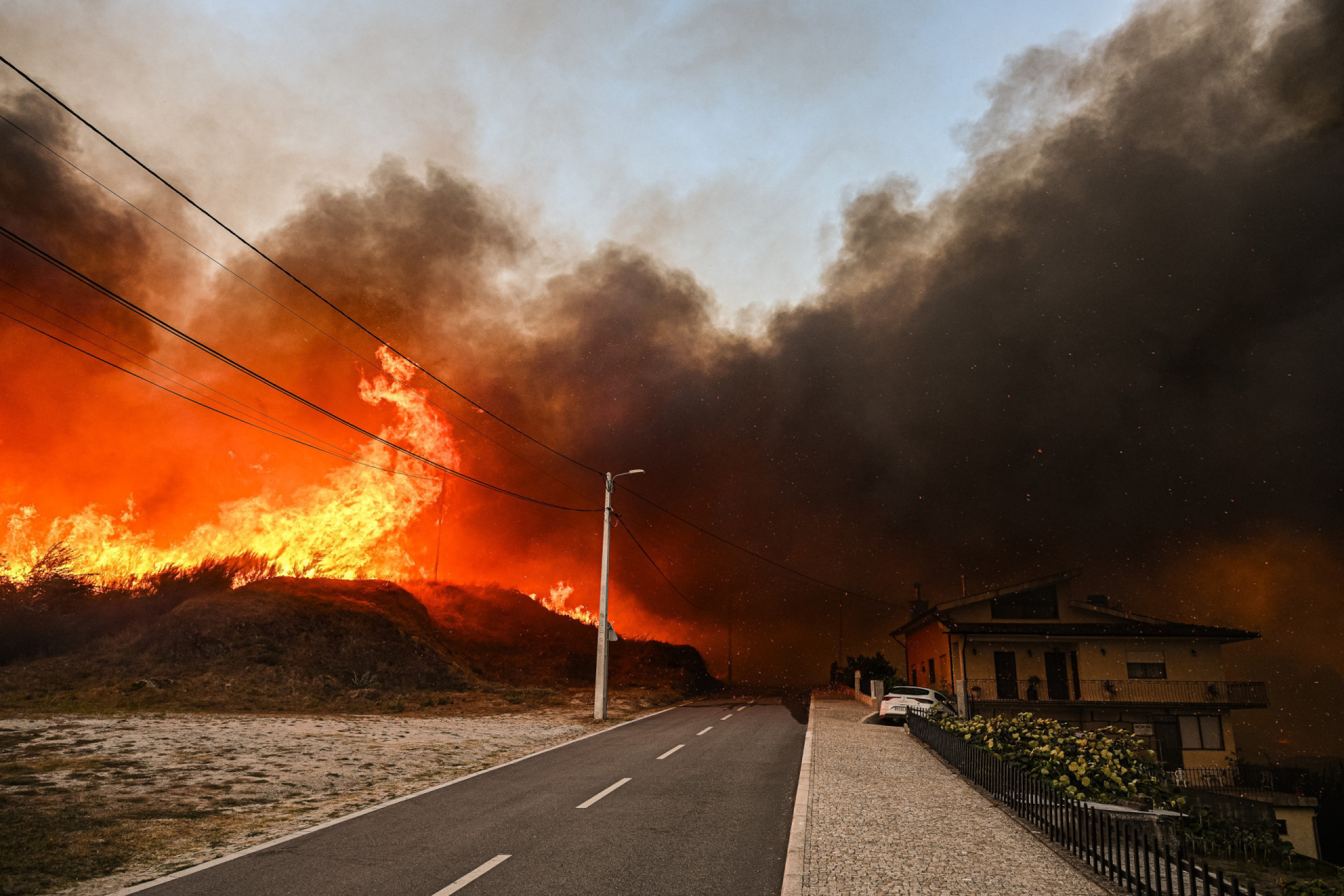 Are we in the middle of a mass extinction?