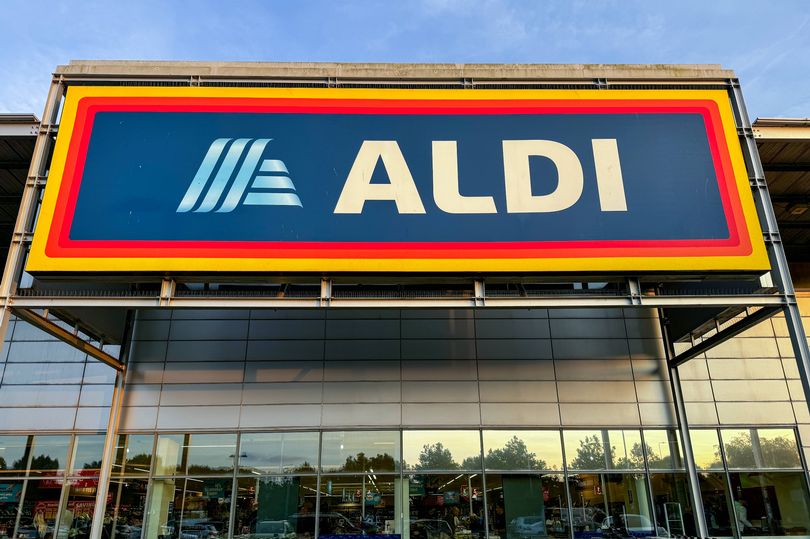 'Beautiful' £7 Aldi lights look just like Home Bargains' viral garden decor