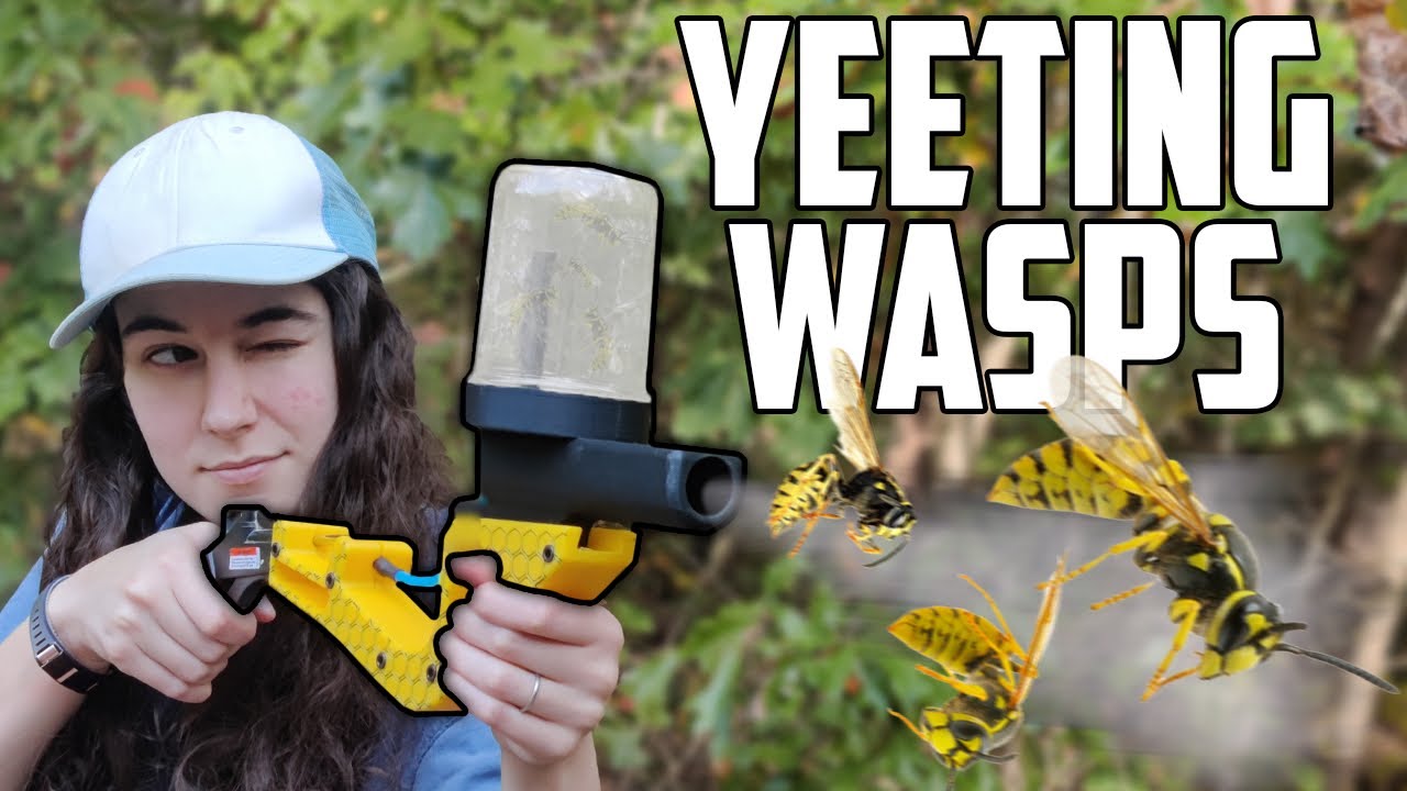 I Built a Wasp Launcher