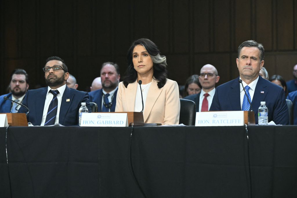 Tulsi Gabbard Admits Signal Chat Mishap Was 'Mistake' But Doubles Down ...