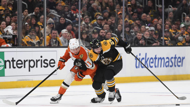 Public Skate: Bruins vs. Ducks