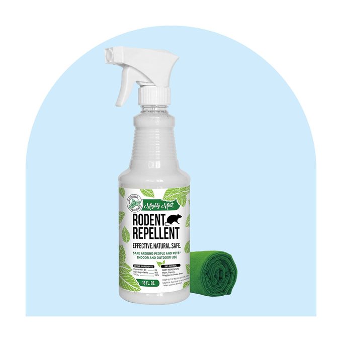 The 6 best repellents, deterrents & sprays for mice (indoor and outdoor ...