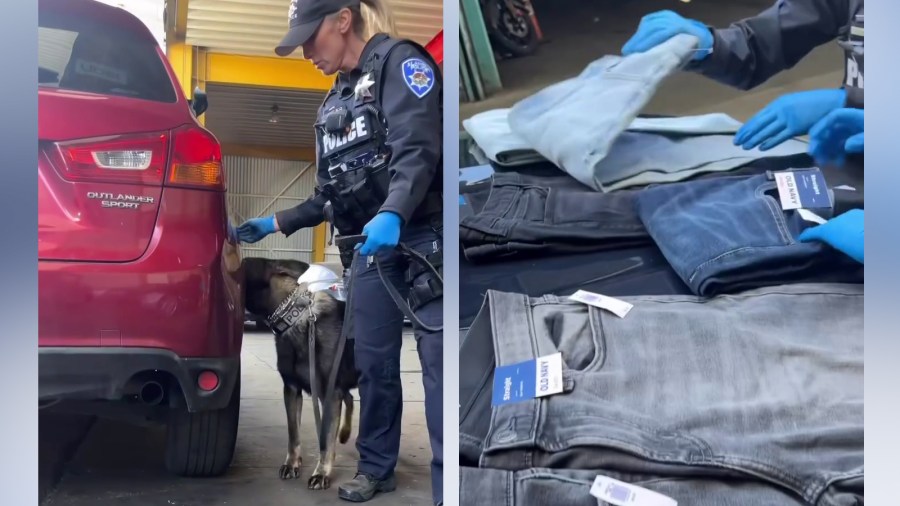 Alameda police uncover alleged fencing operation after retail thefts