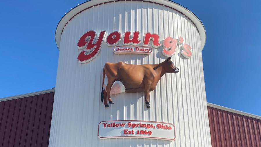 Young’s Jersey Dairy’s new flavor supports Life Untethered