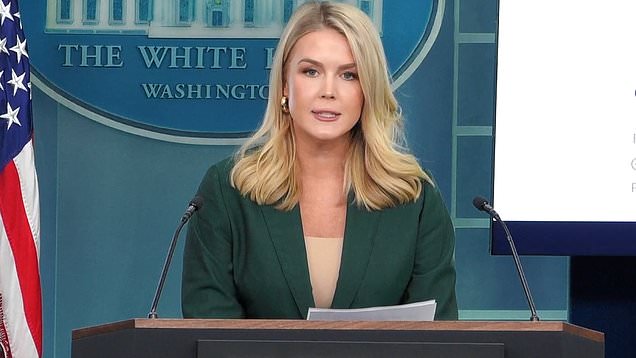 Leavitt admonishes Biden while commenting on text leak, Houthi attack