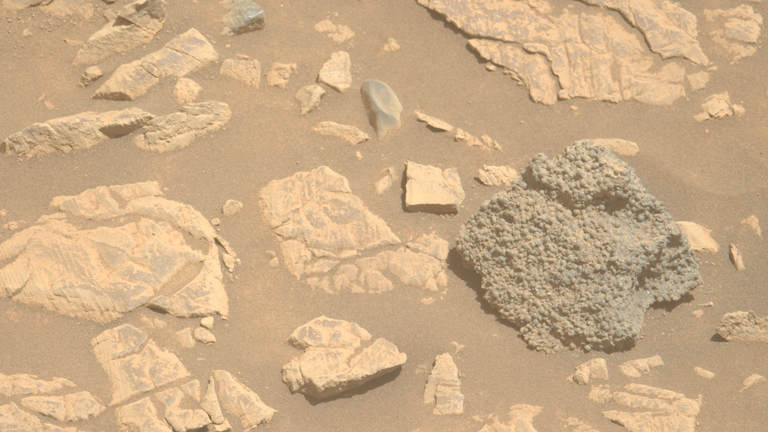 Strange sphere-studded rock on Mars found by NASA's Perseverance rover