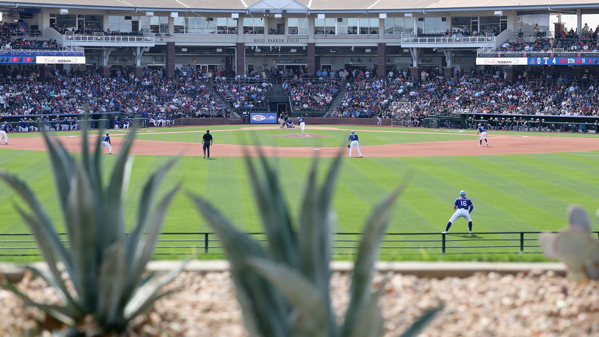 Rangers minor league rosters released