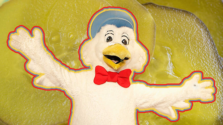 Why Is the Vlasic Pickles Mascot a Stork?