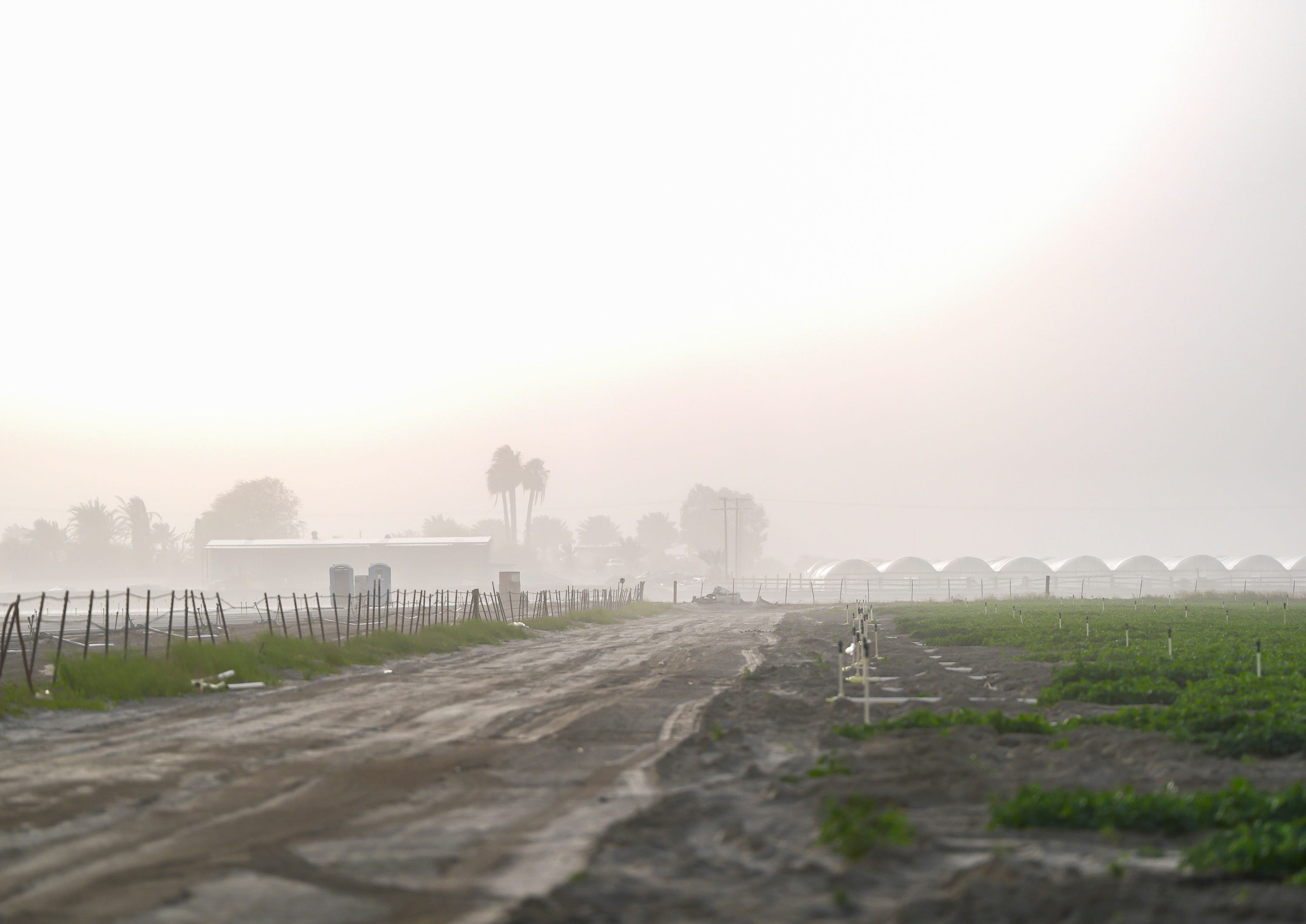 Dust advisory: Air deemed 'hazardous' and 'unhealthy' in parts of ...