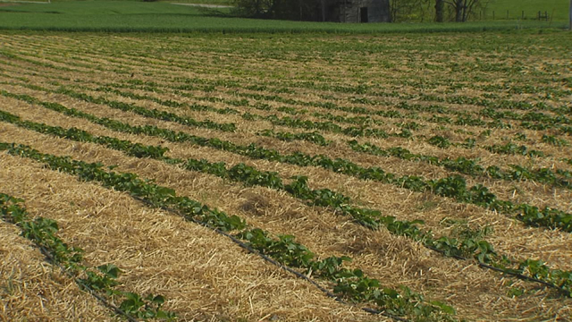 Grundy County leaders sick of having ‘biosolids’ illegally dumped on ...