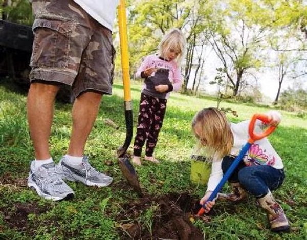 Celebrate Missouri native trees through Arbor Days in April