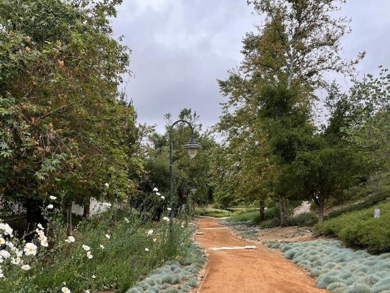 Topsail Steamer - Gulf Shores