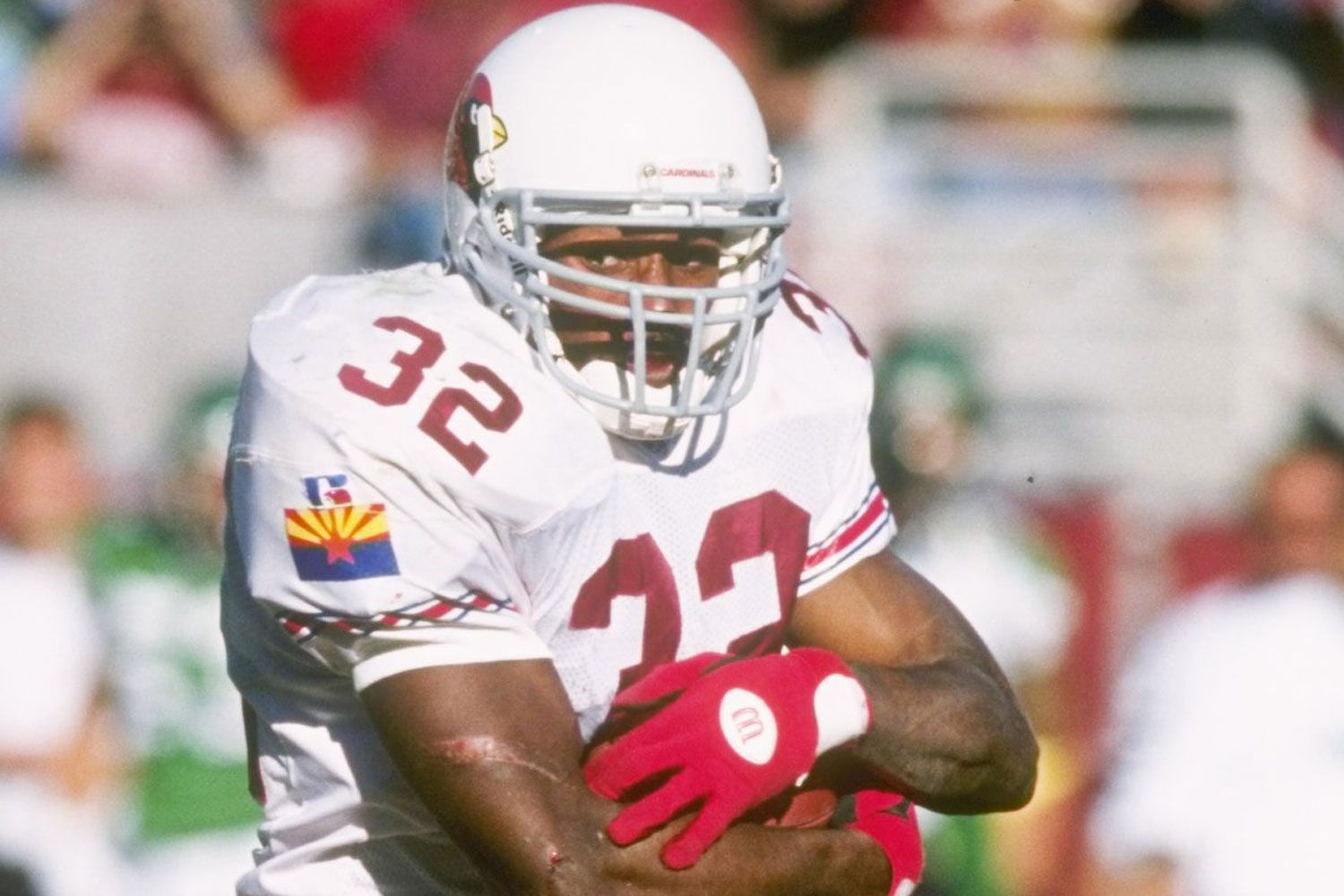 Former NFL Player LeShon Johnson Convicted for Running Dog Fighting ...