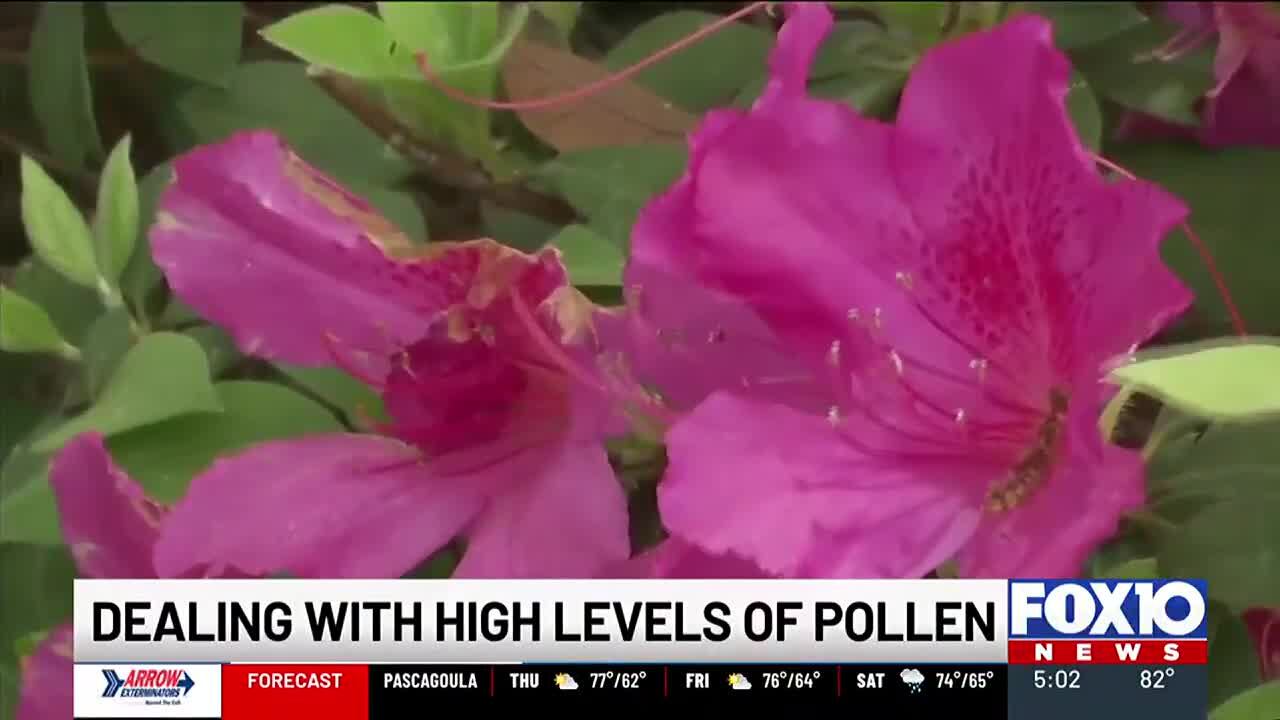 High levels of pollen means allergies for many