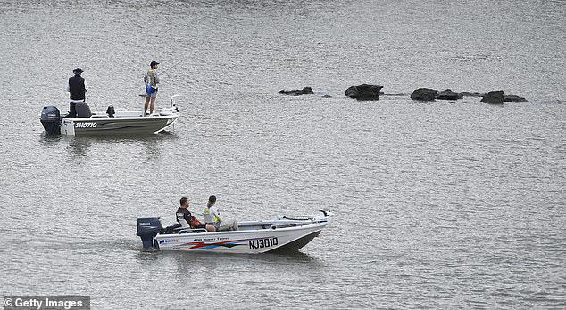 Crocodile farmer reveals why he thinks it's GOOD that Brisbane Olympics ...