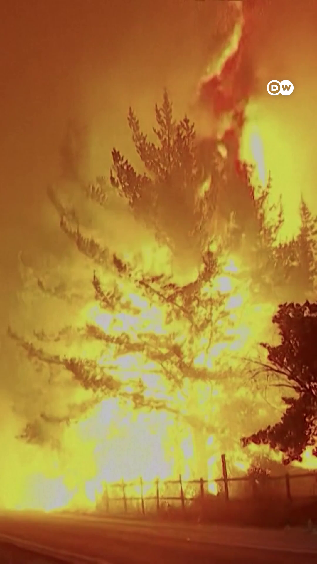 Chile is battling severe wildfires