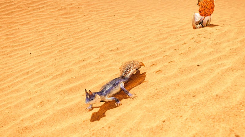 How To Find And Hunt Down Tracktail Lizards In Monster Hunter Wilds