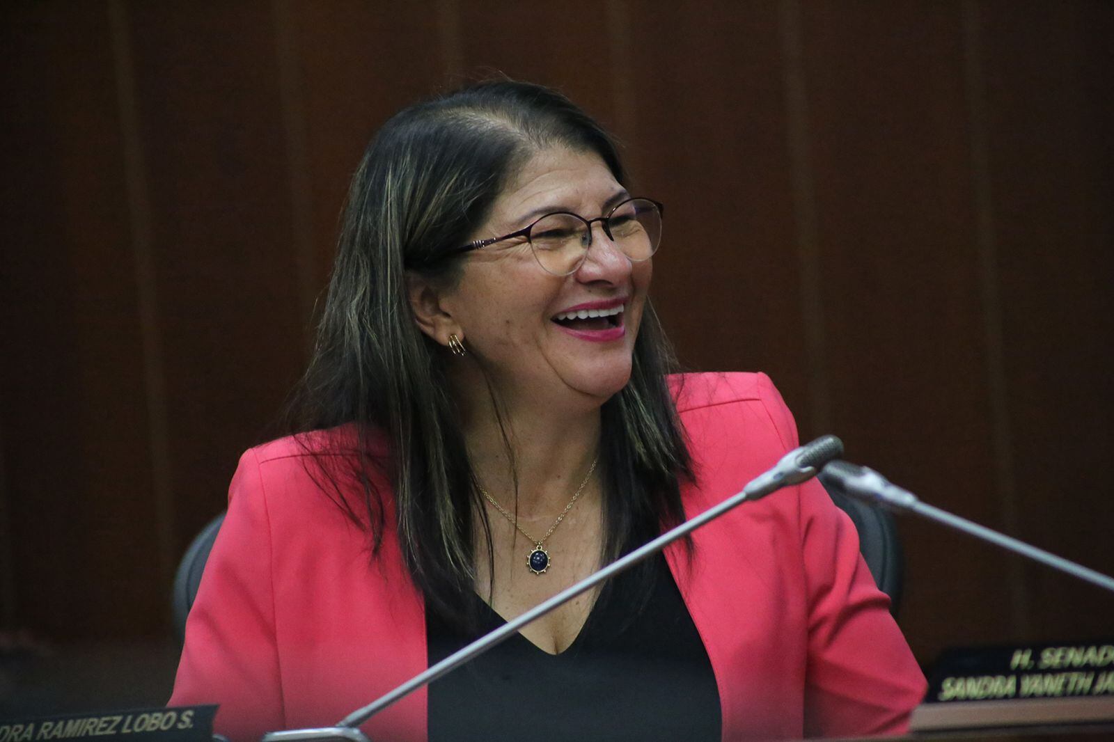 Sandra Ramírez, la congresista exfarc, será investigada en la Corte ...