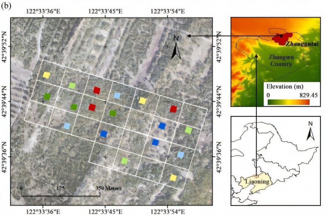 Ground-penetrating radar reveals optimal tree density to combat ...