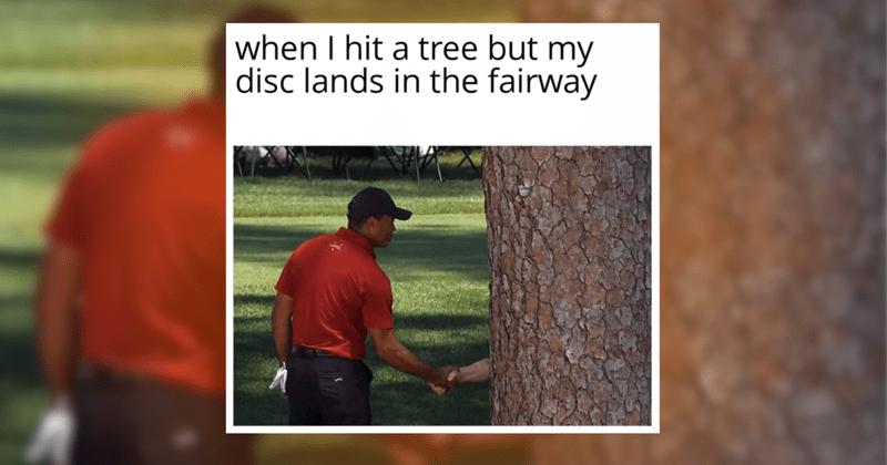 34 Disc Golf Memes for Amateur Basket Bros Who Would Never Call it ...