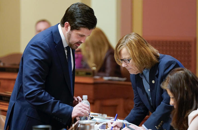 Wolgamott won't seek reelection in St. Cloud House District 14B