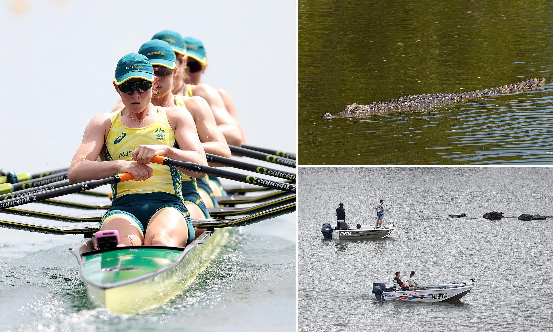 Crocodile farmer reveals why he thinks it's GOOD that Brisbane Olympics ...