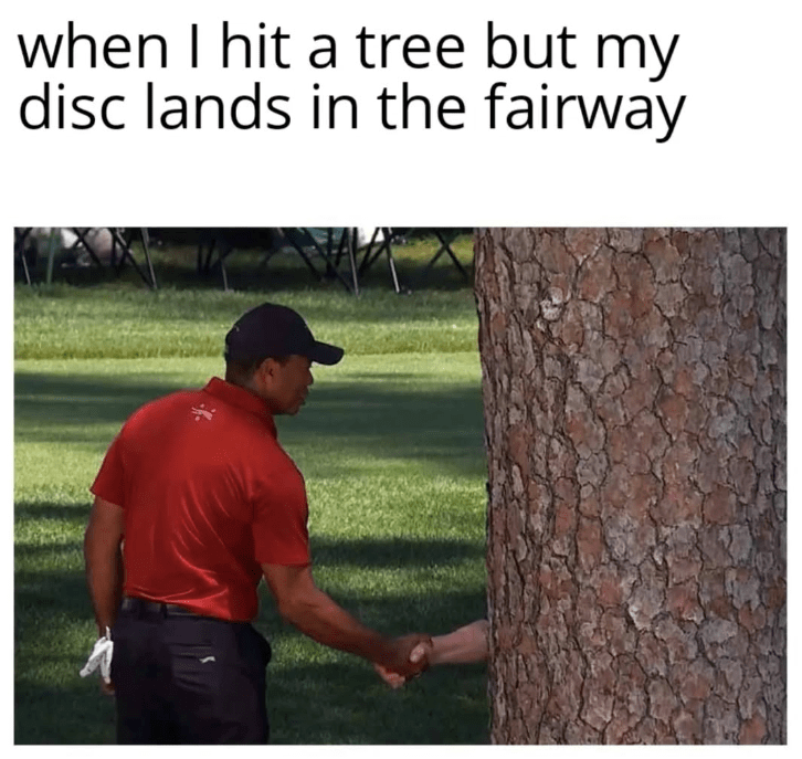 34 Disc Golf Memes for Amateur Basket Bros Who Would Never Call it ...