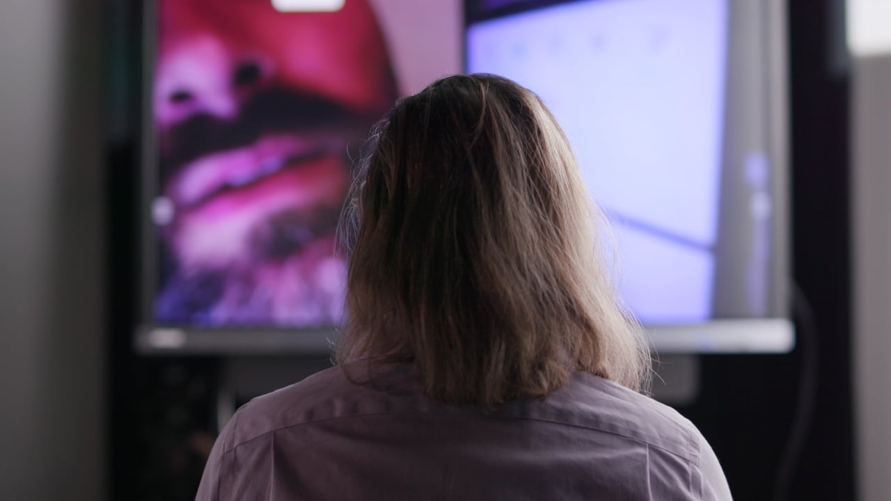 Documentary on aftermath of Windsor, Ont.'s Creeper Hunter to premiere ...