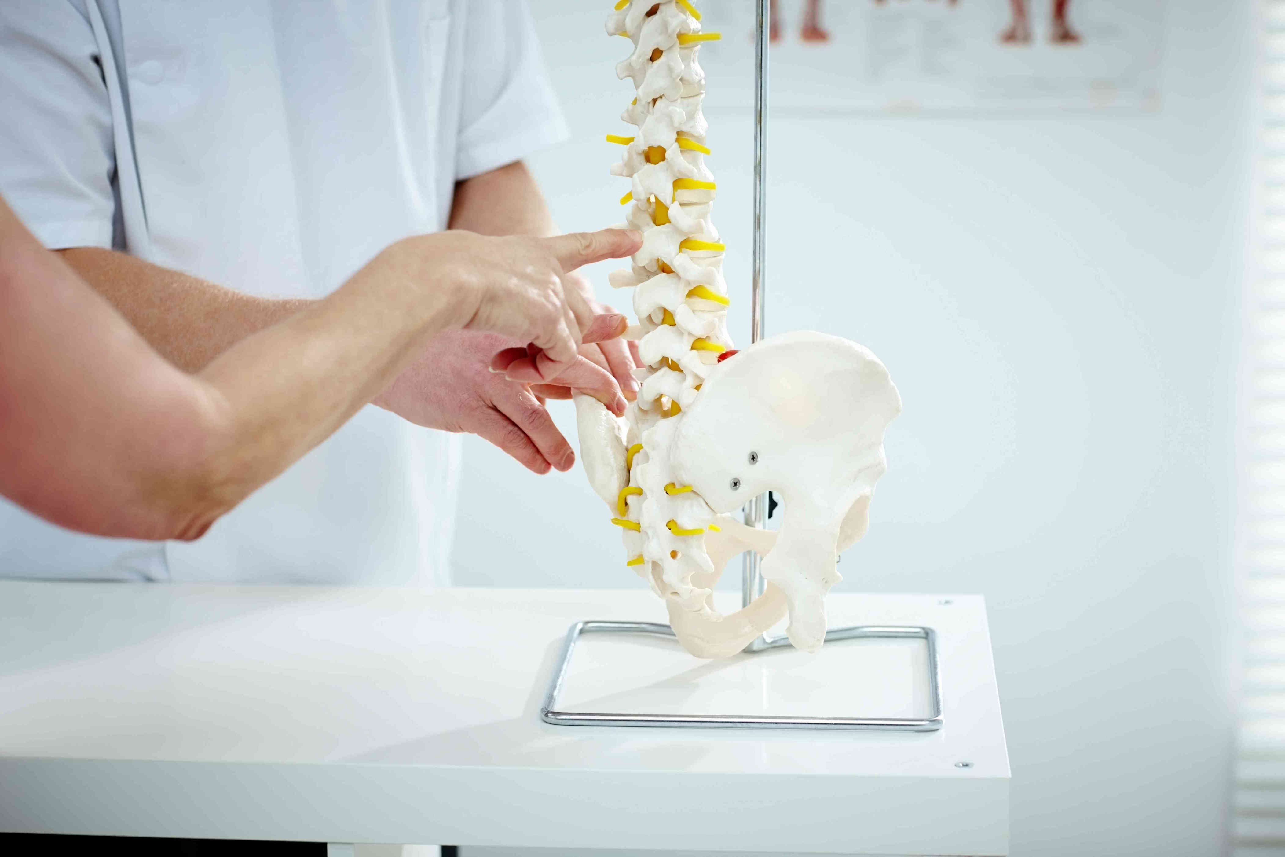Discogenic Pain in Your Lower Back and How It's Treated