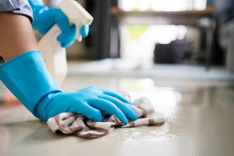 How to Get Rid of the Dead Mouse Smell in Your House