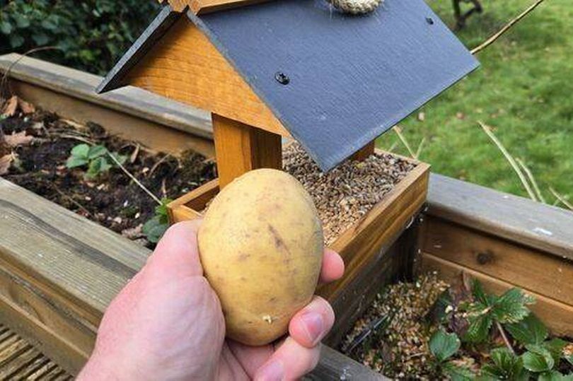 Birds are getting ready for nesting season and here's a tip on how to ...