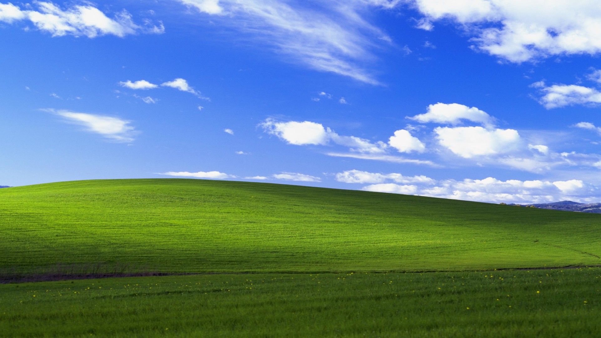From pixels to pinot: The Windows XP 'Bliss' wallpaper hill was real ...