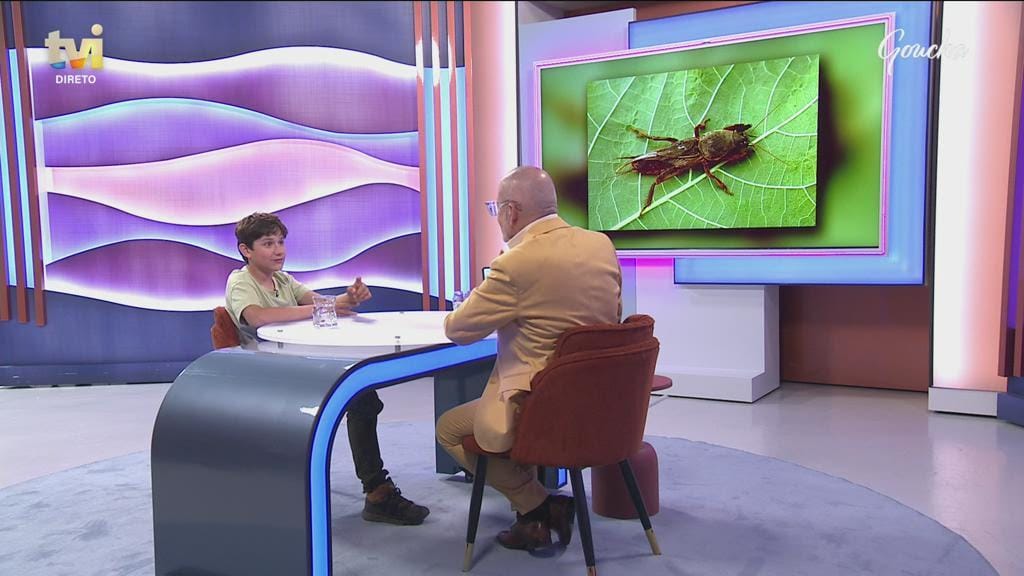 Dinis, o mini-biólogo, para Manuel Luís Goucha: «Já me arrependi de ter ...