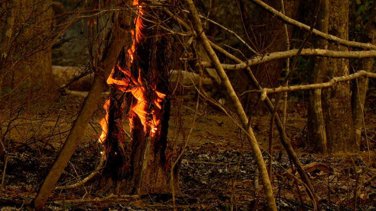 How is the size of a wildfire measured? Local officials break it down