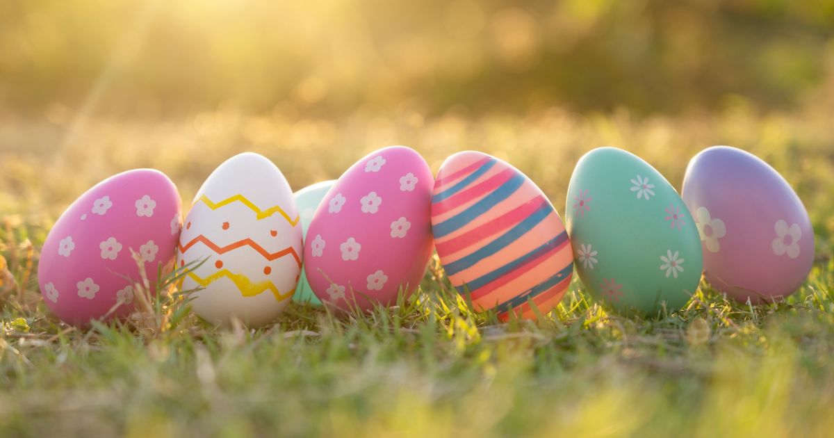 Trump Admin May Have Just Found a Way to End the Egg Shortage Before Easter