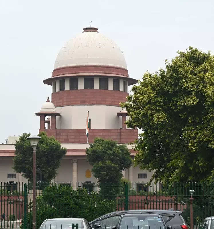SC asks Defence Colony RWA to pay Rs 40 lakh compensation for illegally ...