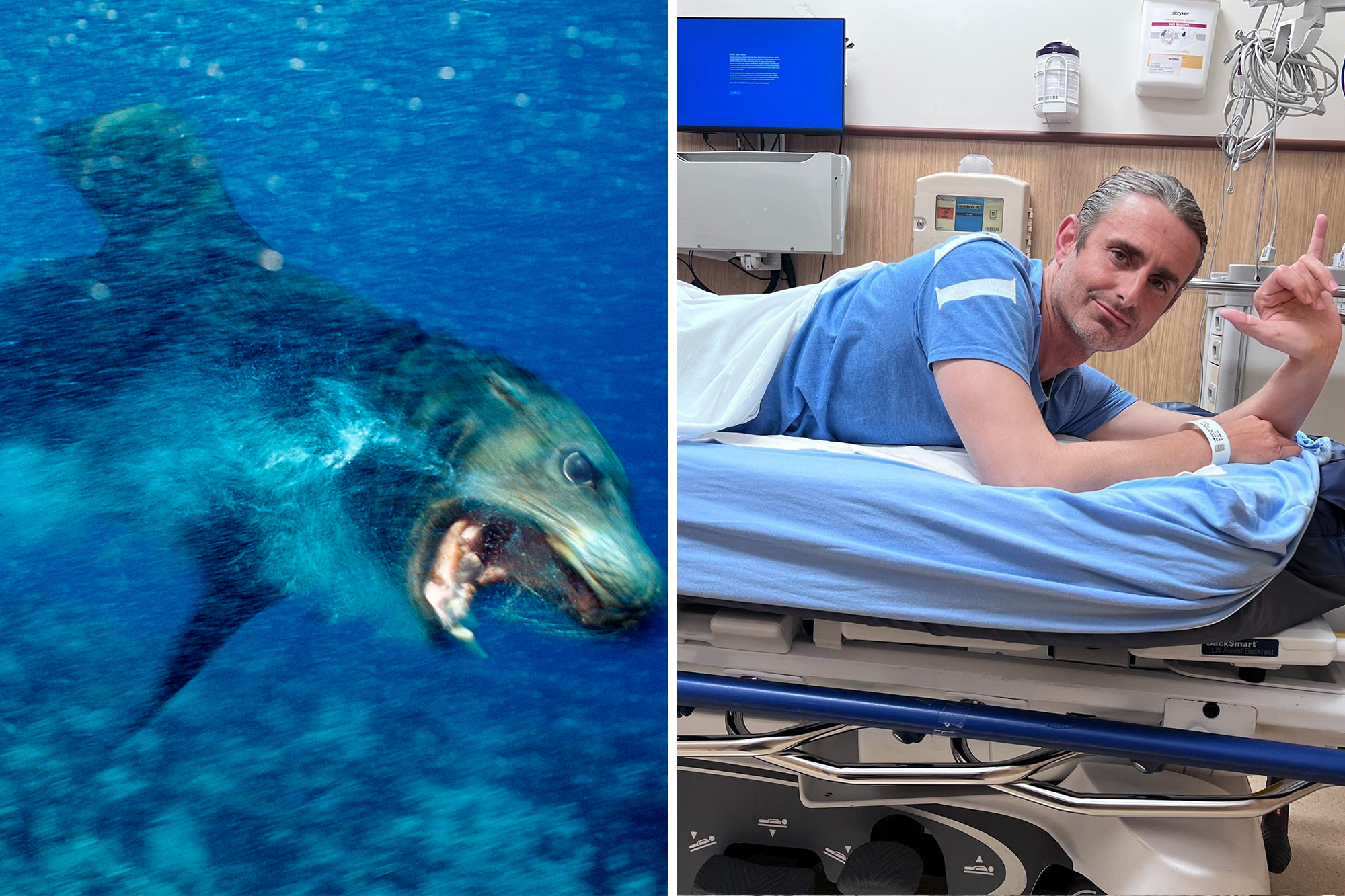 ‘Mind-warped’ sea lion charges surfer in terrifying attack: ‘I don’t ...